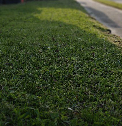 About Us - American Lawn Management, LLC